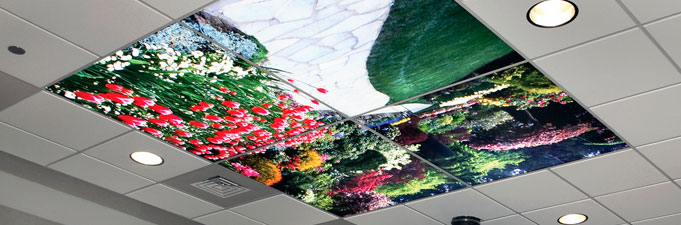 MedLux Ceiling GPI LED Graphic Panel Illuminator 2x2